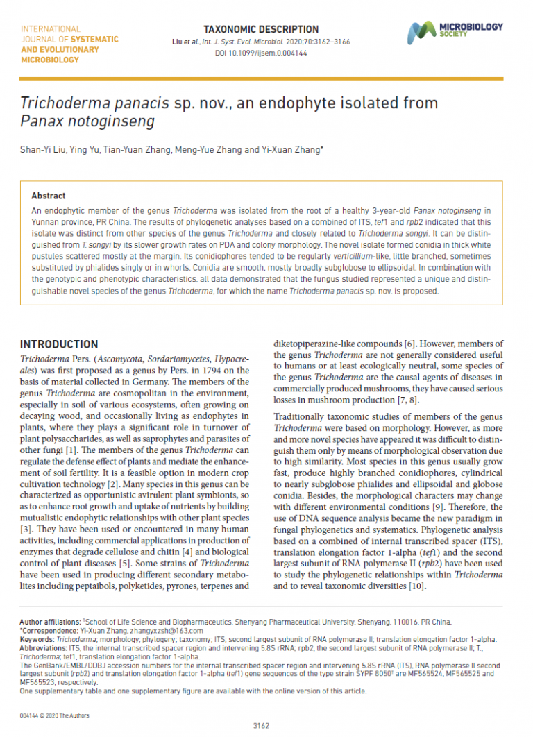 MOLECULAR IDENTIFICATION PROTOCOL FOR TRICHODERMA – ICTT