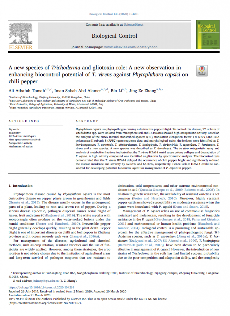MOLECULAR IDENTIFICATION PROTOCOL FOR TRICHODERMA – ICTT
